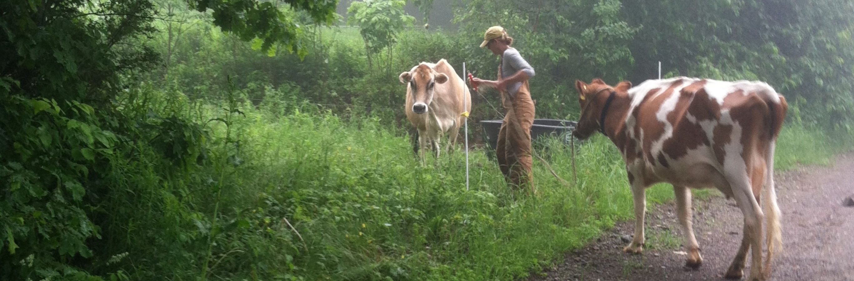 Accreditation Standards - Farm Stay USA