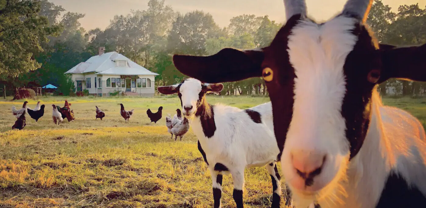 Bonne Terre Farm - Farmstay