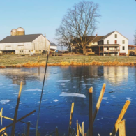 Verdant View Farm - Farmstay
