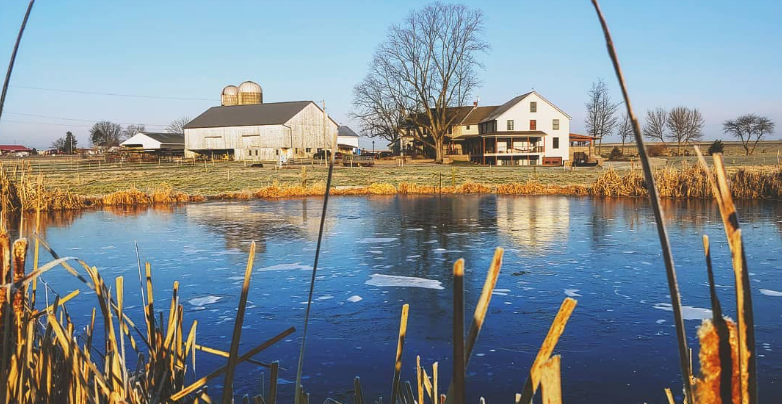 Verdant View Farm - Farmstay