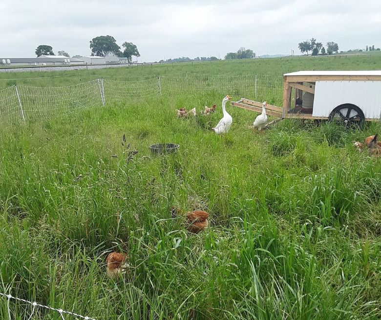 Verdant View Farm - Farmstay