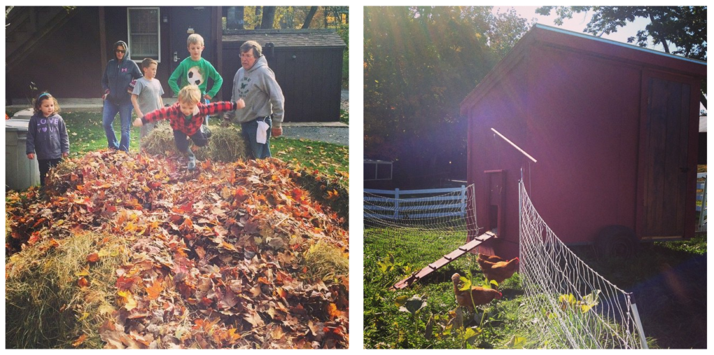 Thanksgiving on the Farm - Farmstay