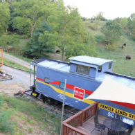 Buffalo Creek Vacations on Trinity Bison Ranch - Farm Stay USA