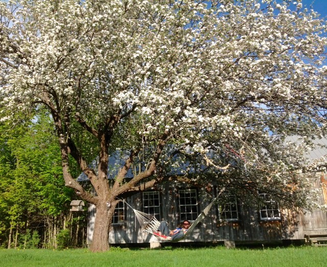 Camp Benjamin - Farm Stay USA