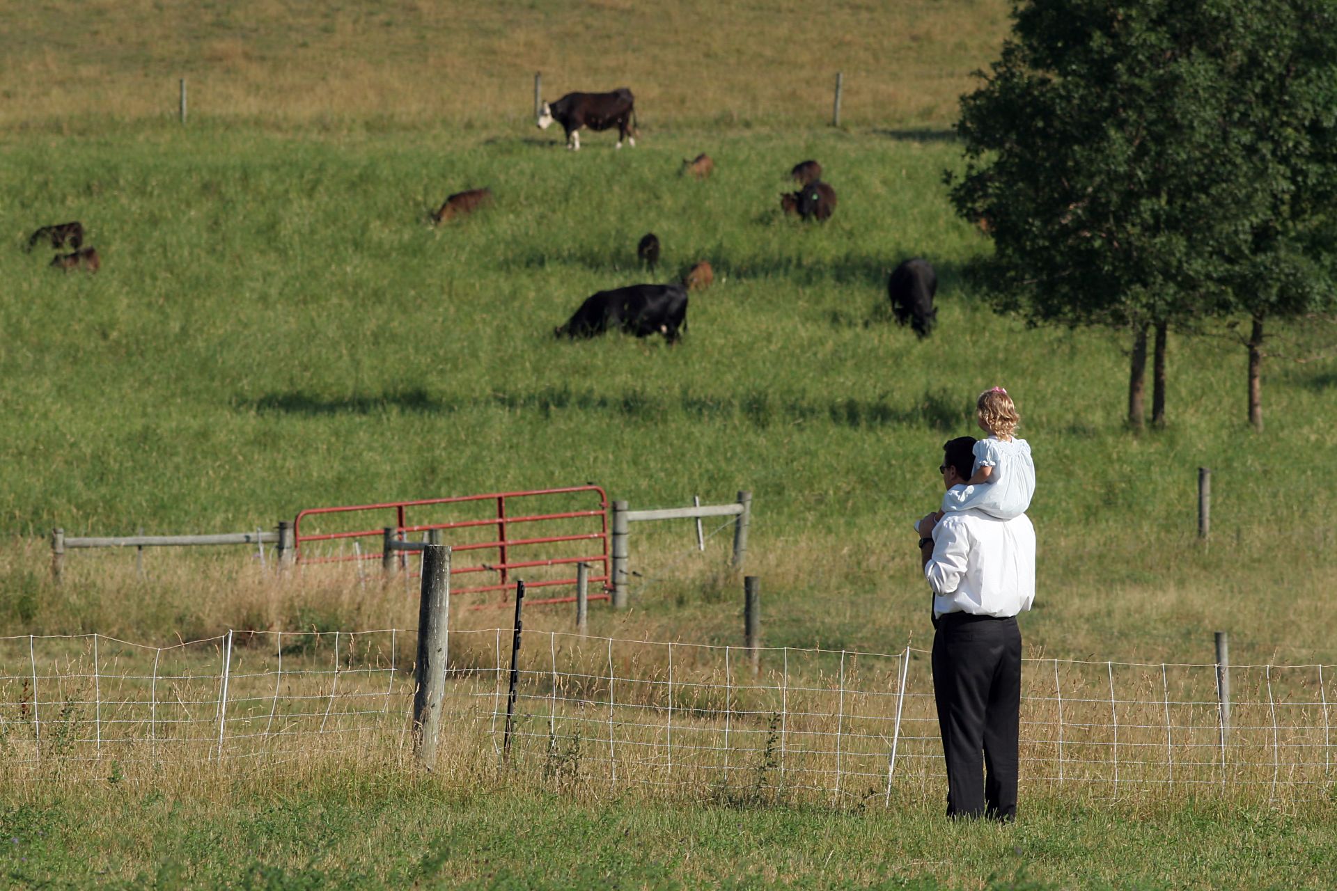 Shepherd's Hill Farm MN - Farm Stay USA