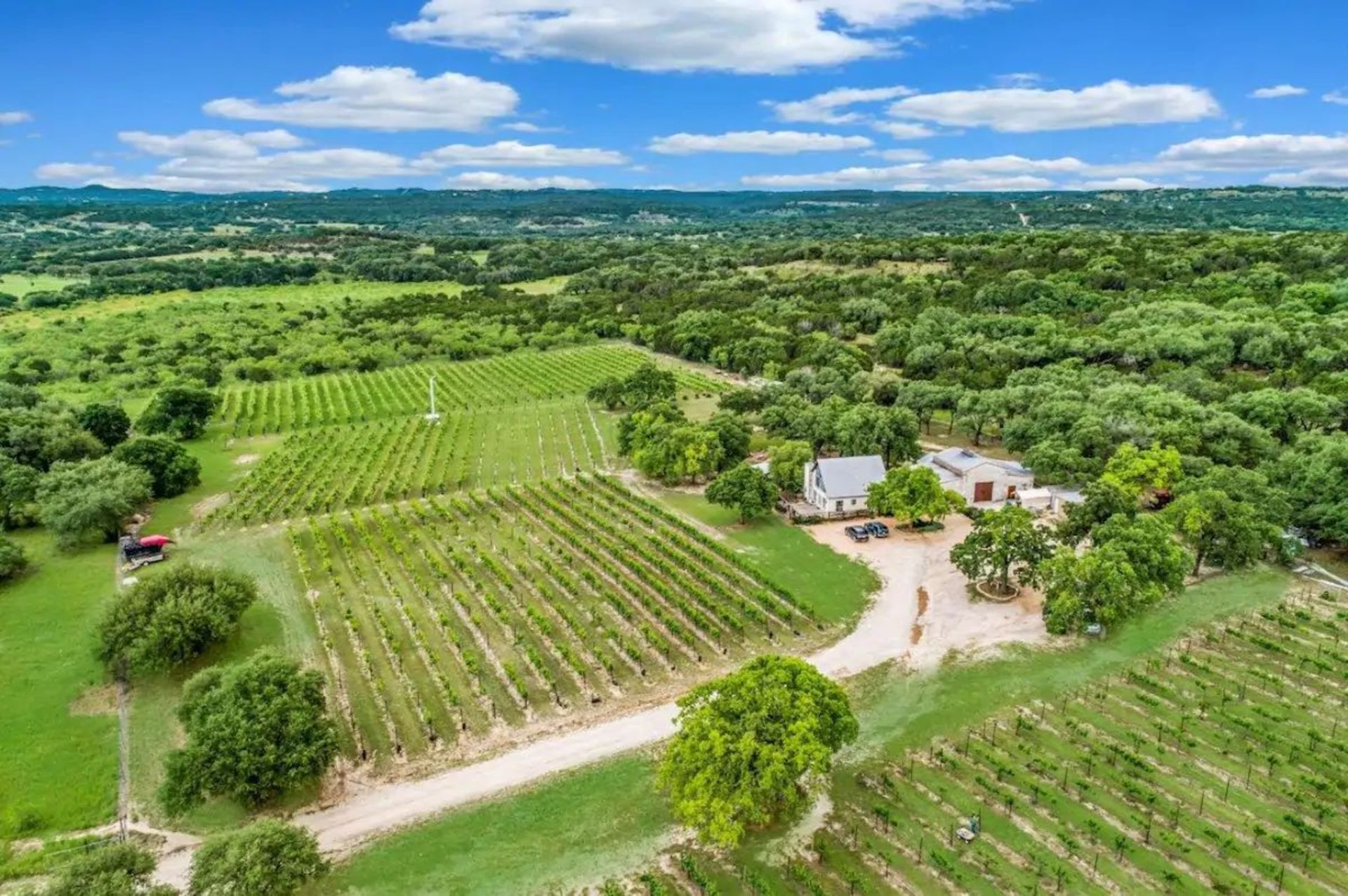 Hamilton Pool Vineyards and Farms - Farm Stay USA