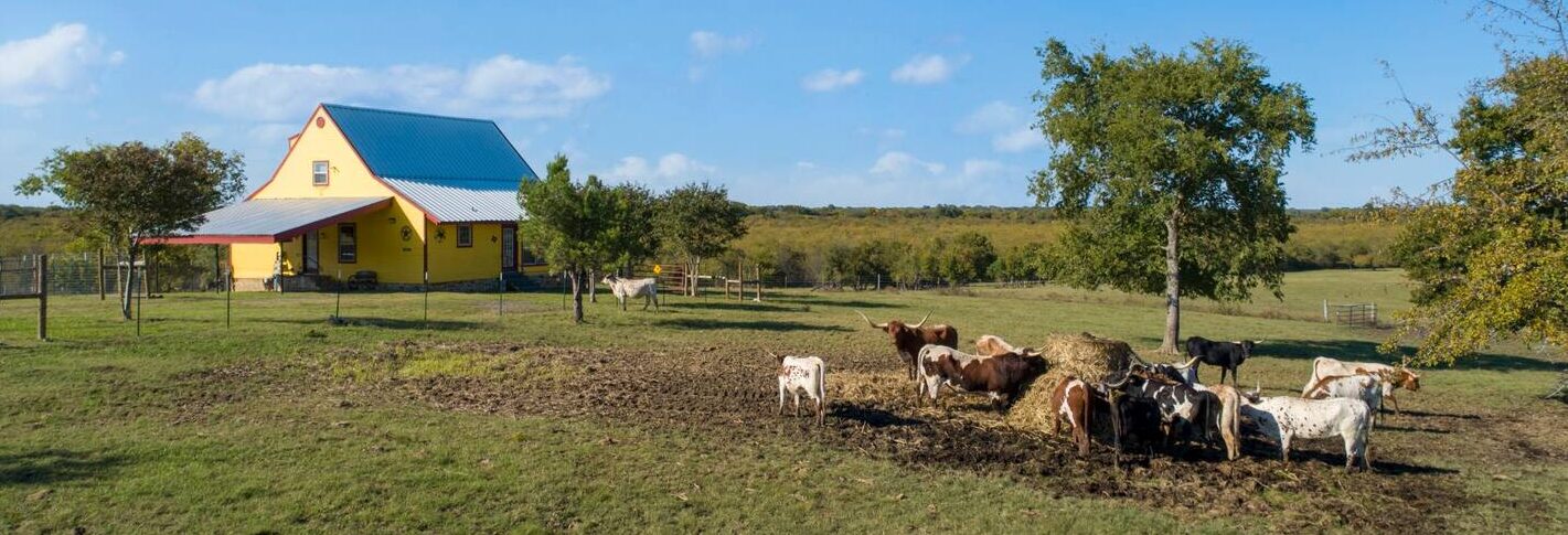 Sunset Ranch - Farmstay