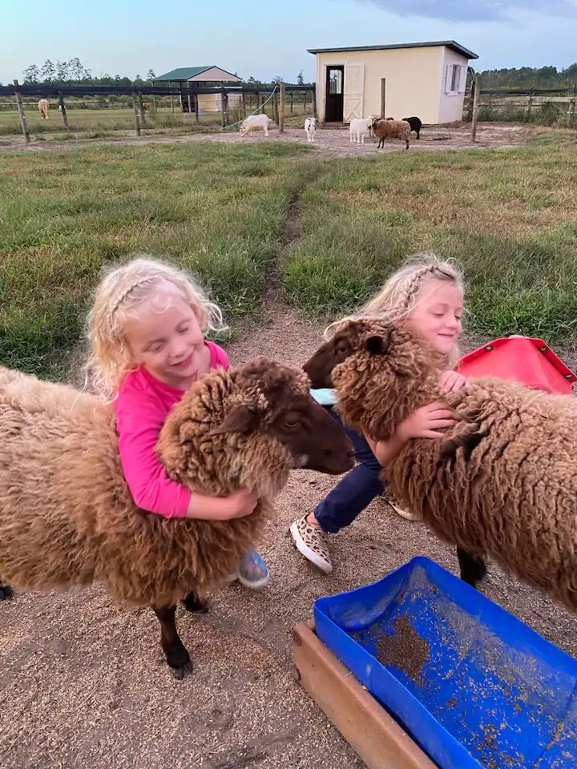 A New Life Ranch - Farm Stay USA