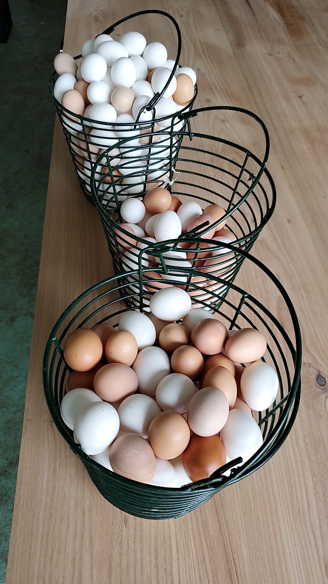 Red River Farms - Farm Stay USA