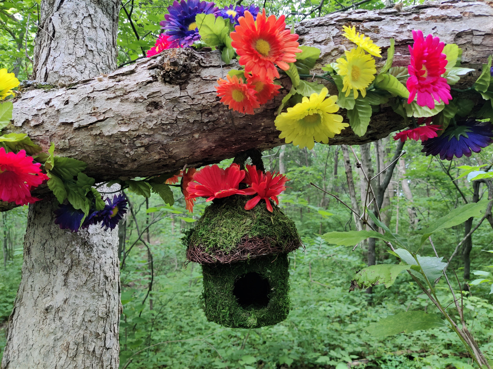 Milo Farm - Farm Stay USA