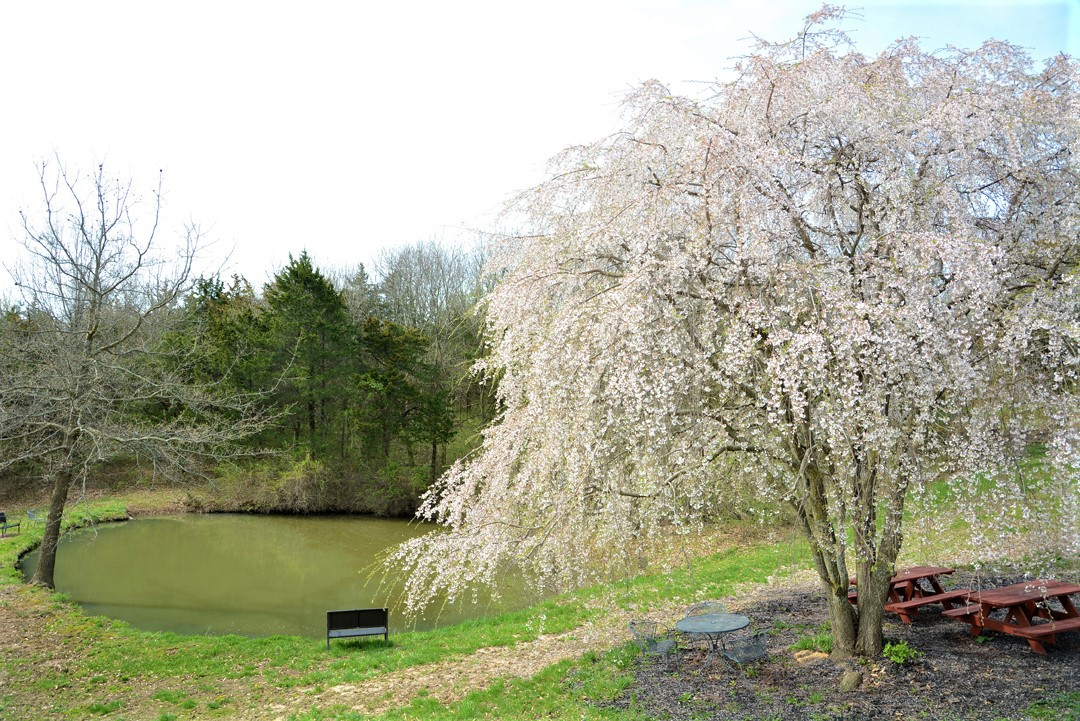 Milo Farm - Farmstay