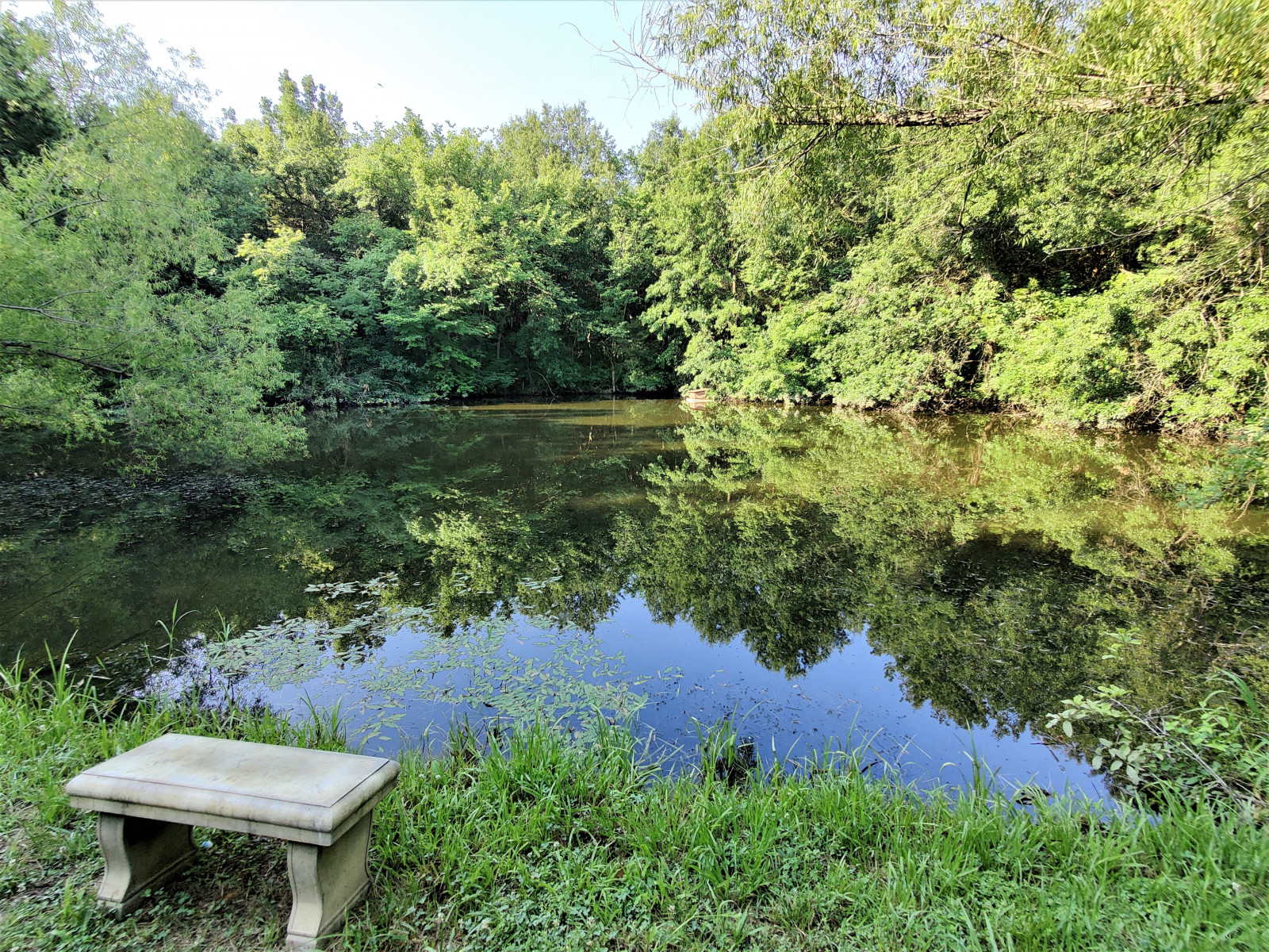 Milo Farm - Farm Stay USA