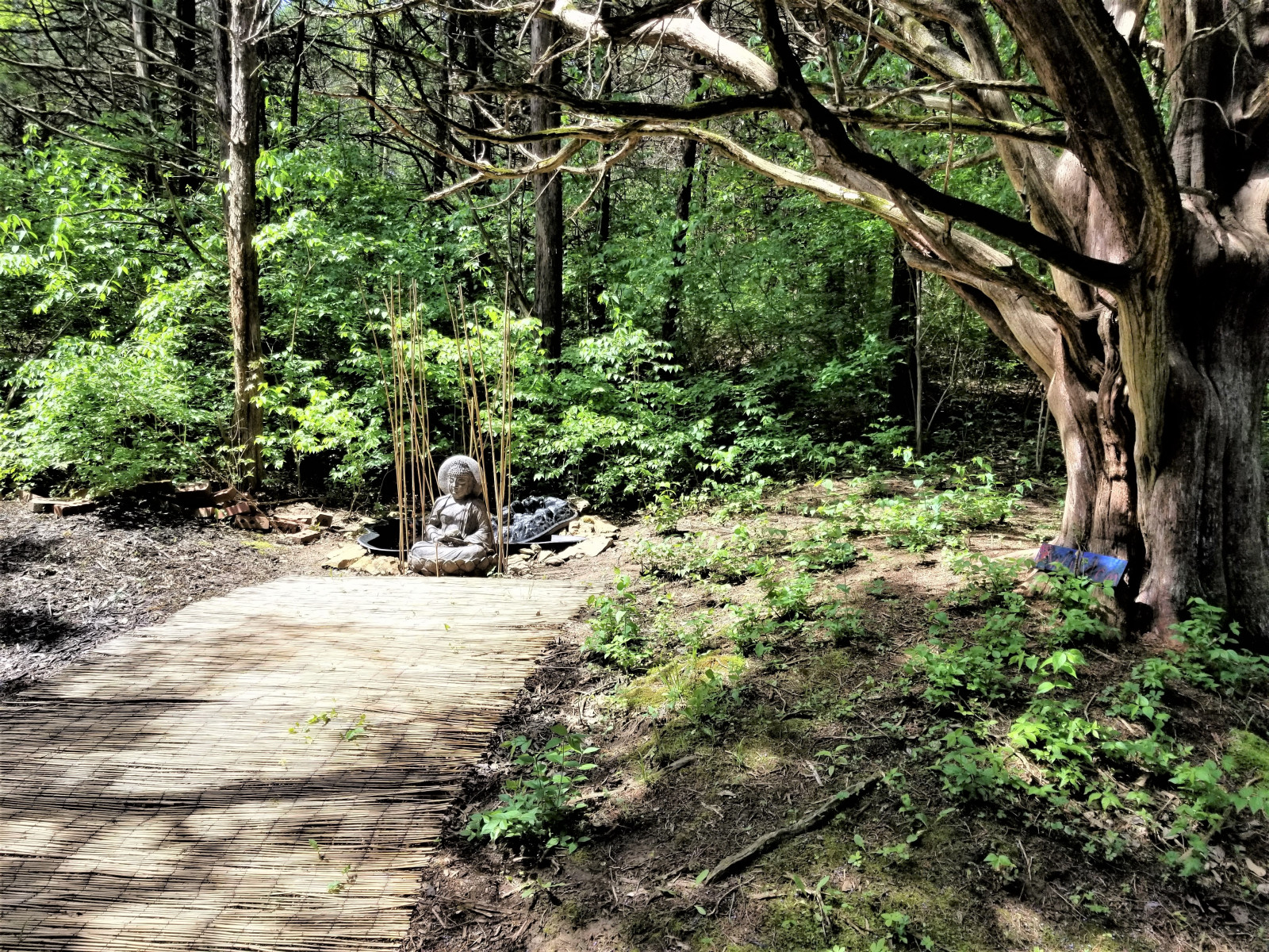 Milo Farm - Farm Stay USA