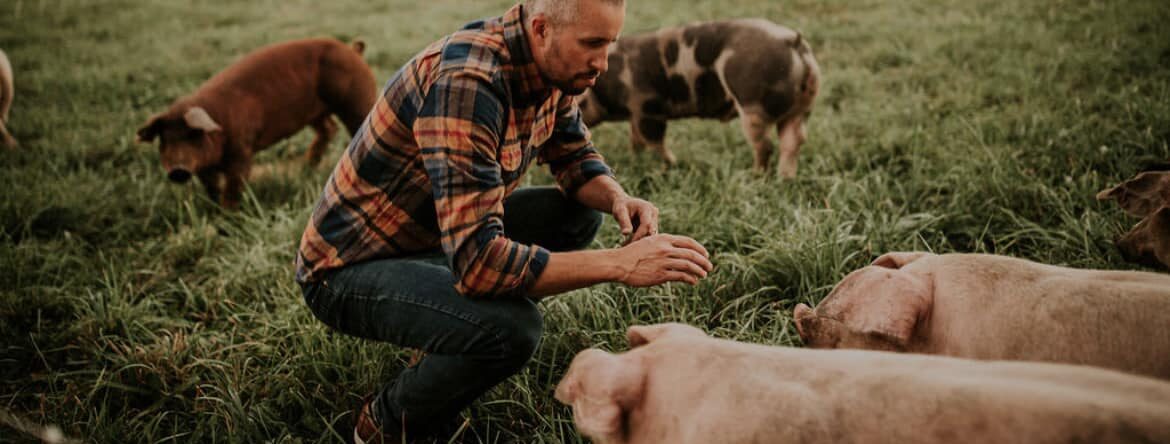 Red River Farms - Farmstay