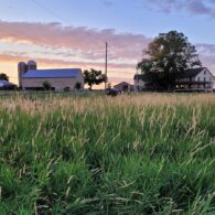 Verdant View Farm - Farm Stay USA