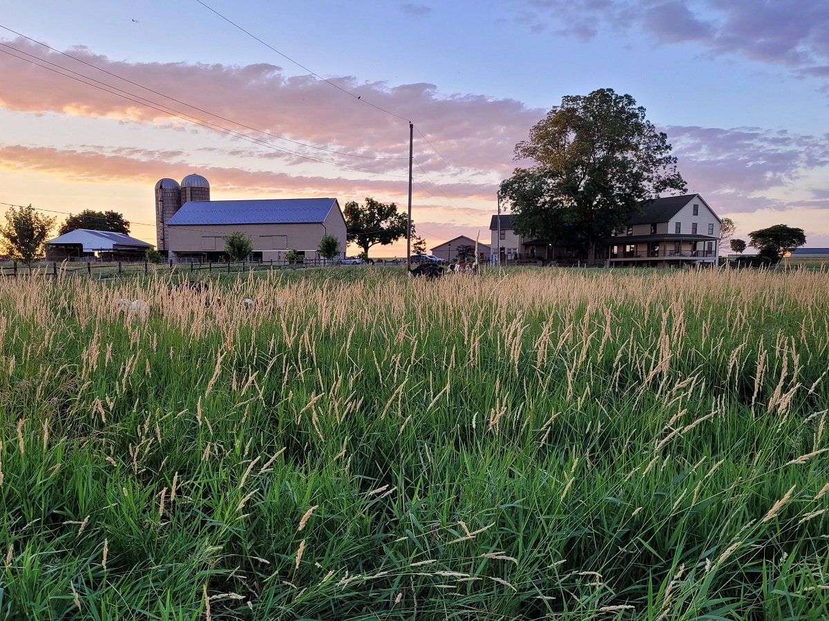 Verdant View Farm - Farm Stay USA