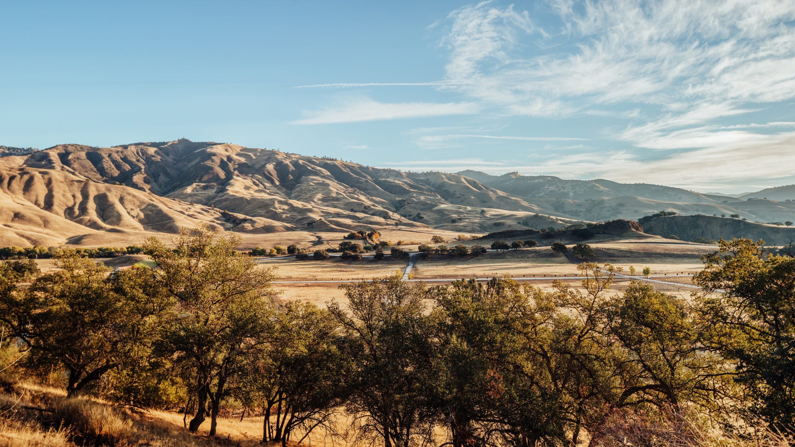 Bar SZ Ranch - Farmstay