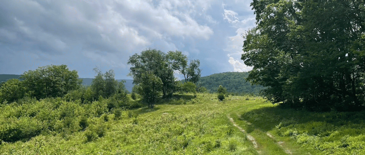 Howling Wolf Farm - Farmstay