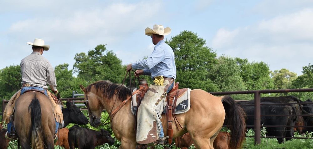 Lazy 4 T Ranch - Farmstay