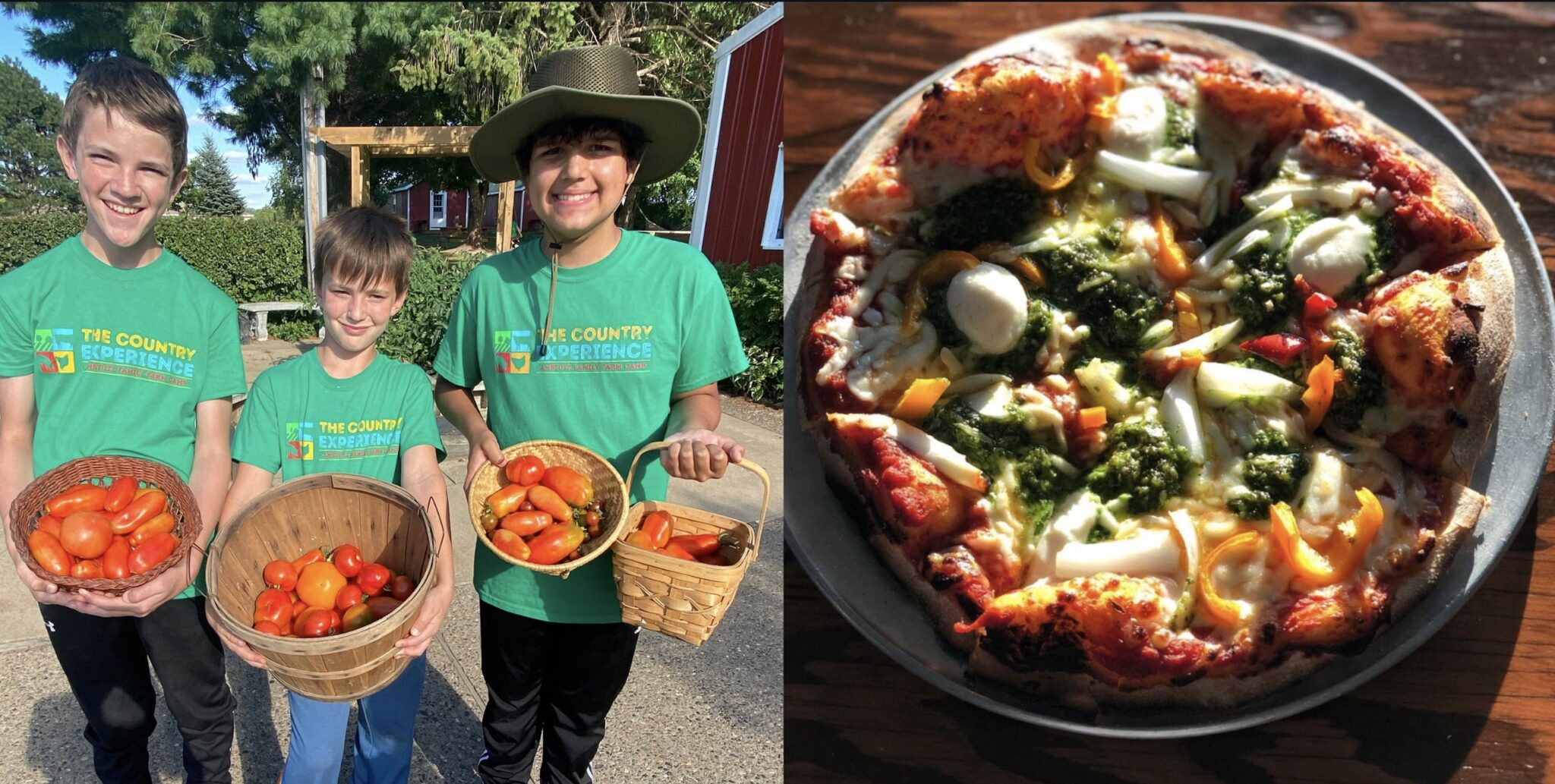 Harvesting Happiness: Experience The Joy of Pizza Farms - Farmstay