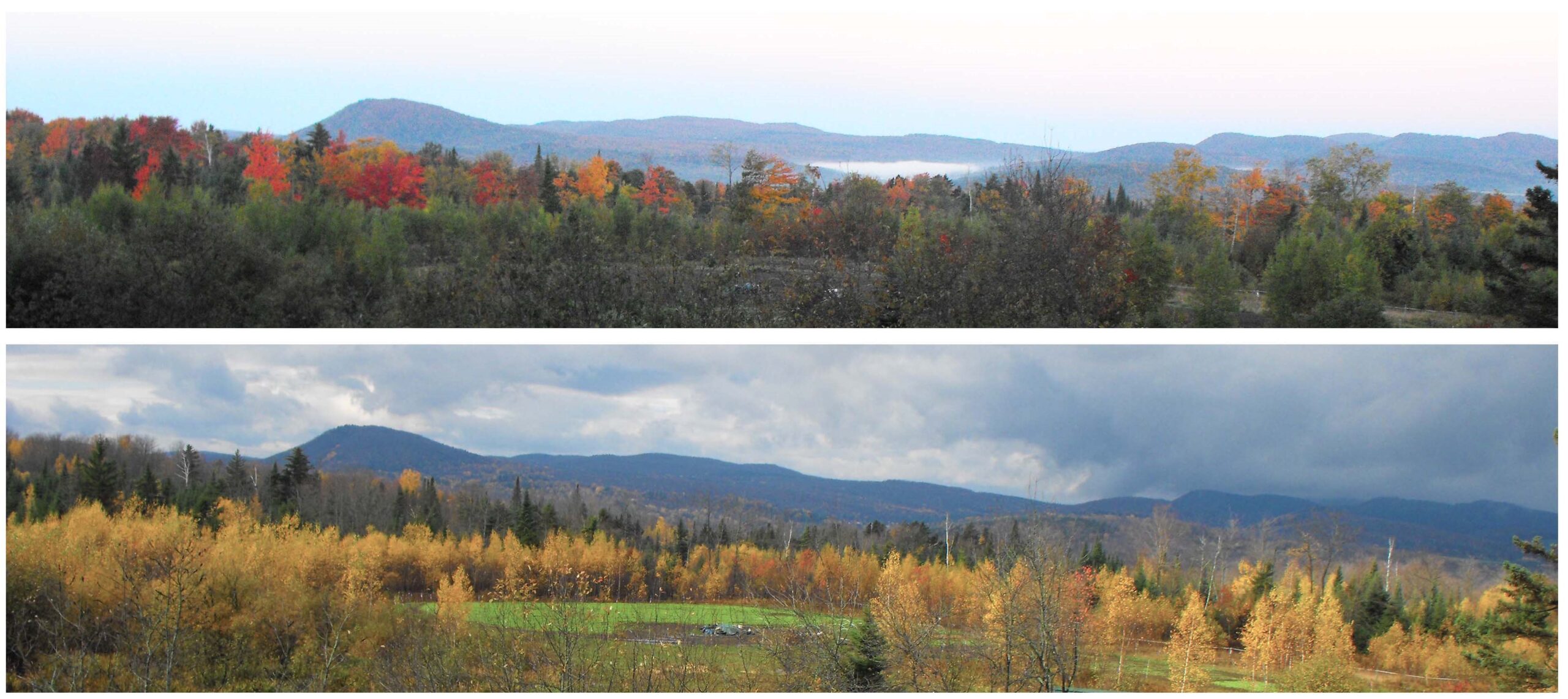 Mount Harmony Farm - Farmstay