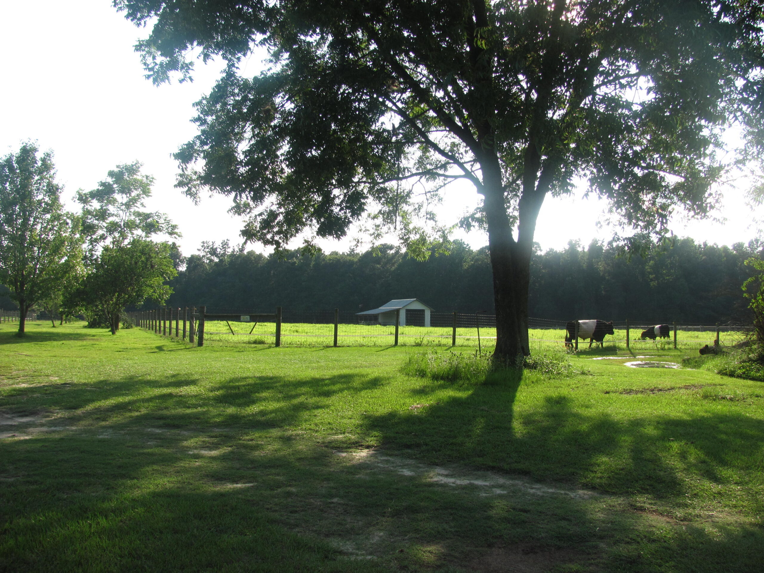 Twiddle Dee Farm - Farmstay