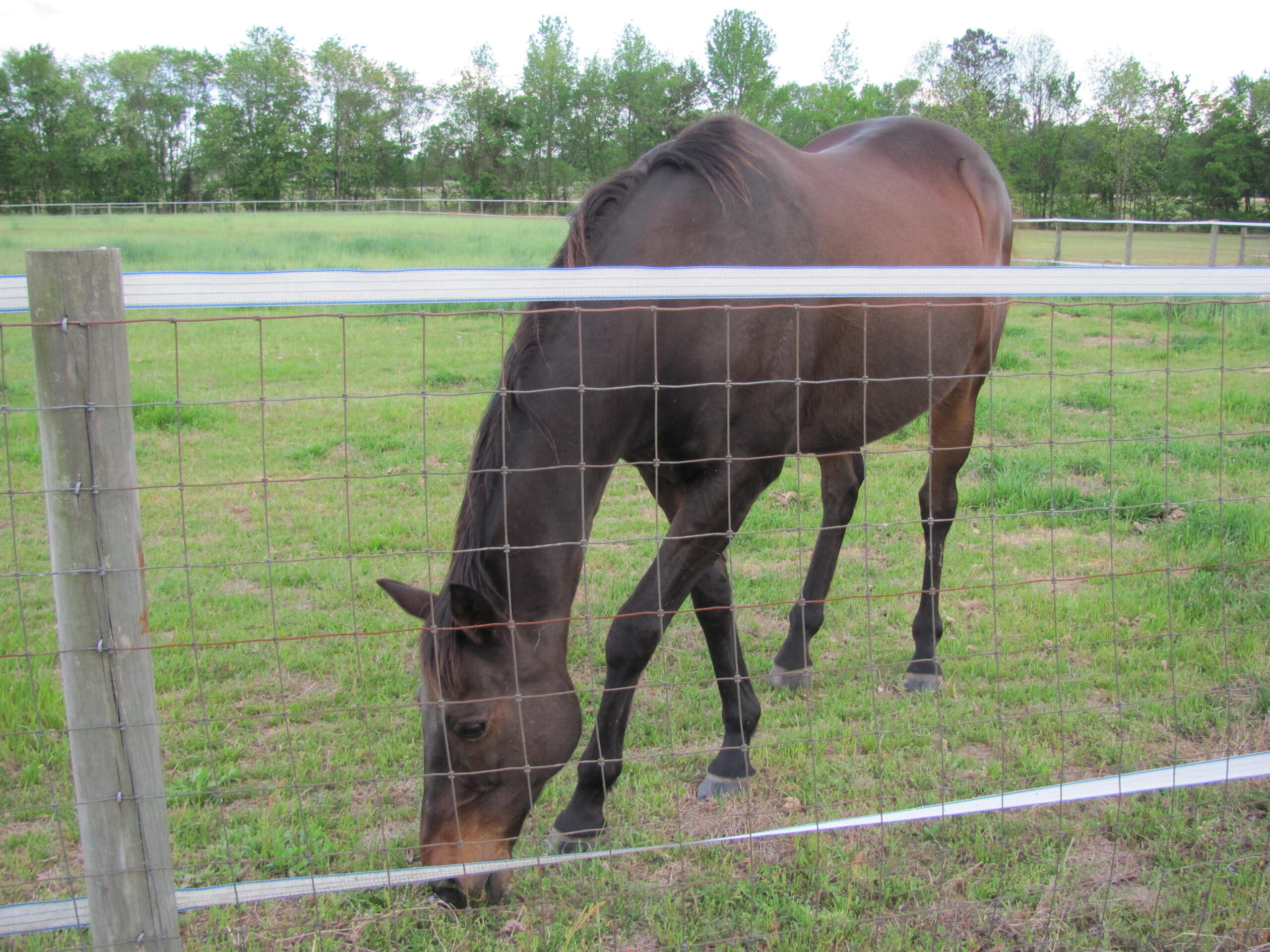 Twiddle Dee Farm - Farmstay
