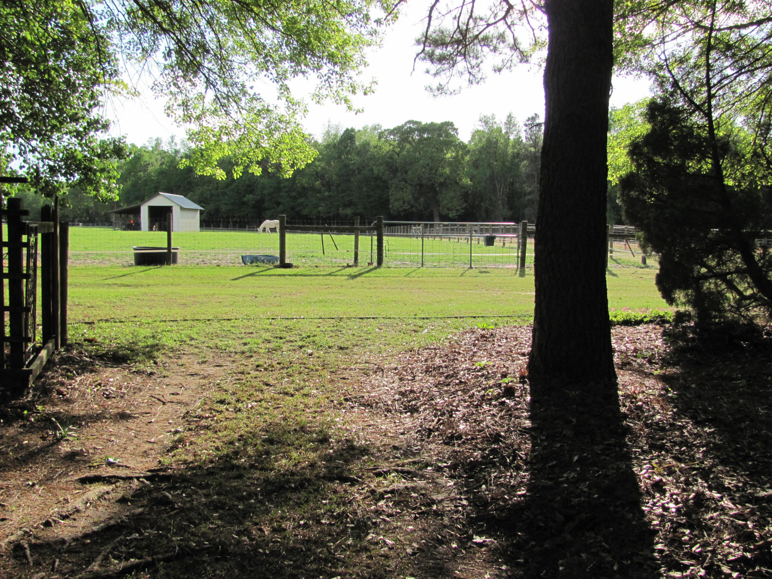 Twiddle Dee Farm - Farmstay