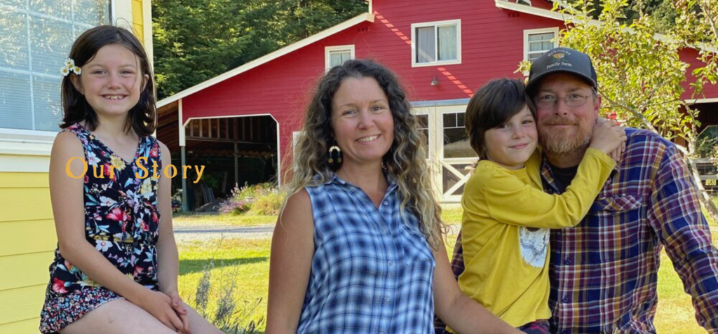 Favorite summer veggies from the farmer's garden - Farmstay