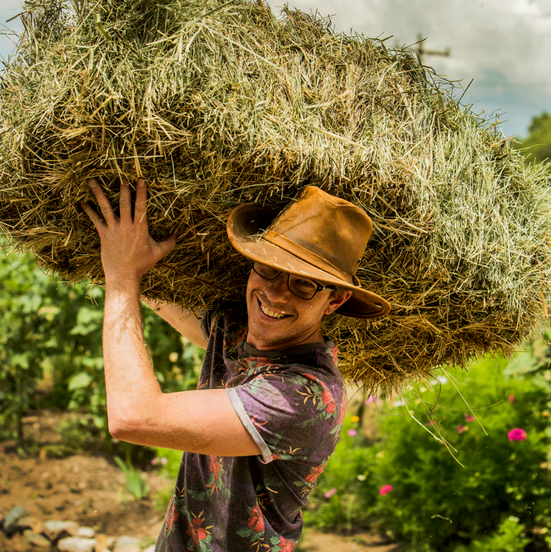 Taos Goji Eco Lodge and Farm - Farmstay